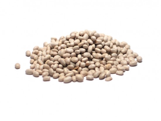Buy Small White Beans Online in Bulk at Mount Hope Wholesale