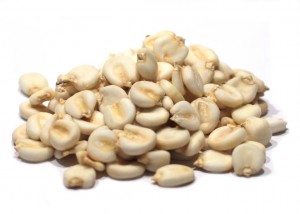 Buy White Corn Posole (Hominy) in Bulk at Mount Hope Wholesale